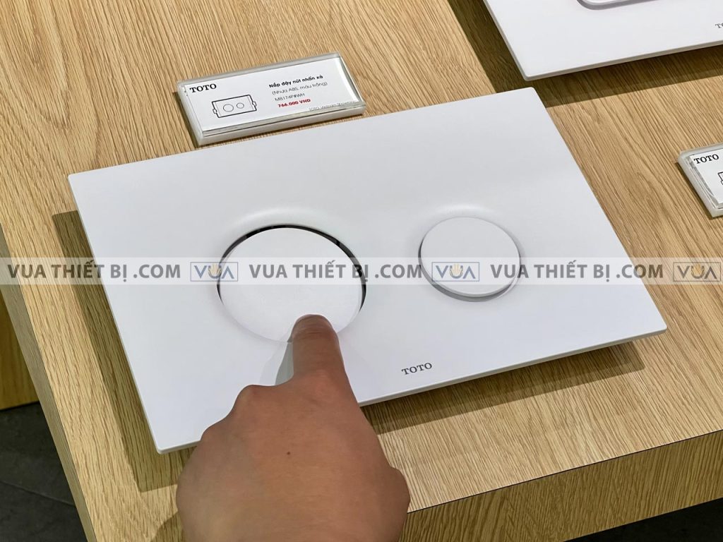 Nắp đậy nút nhấn xả bồn cầu TOTO MB174P#WH màu trắng mờ | VUA THIẾT BỊ .COM